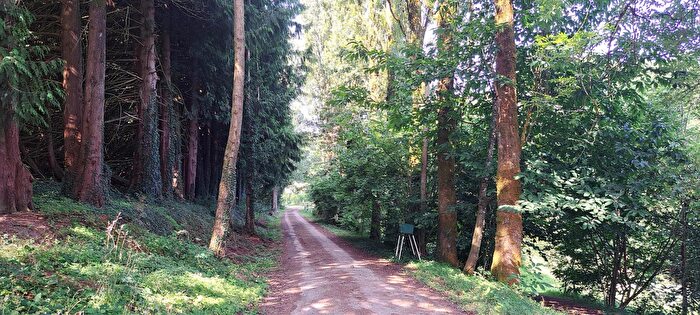 Maison à vendre - Bais - 6 pièces - 4 chambres