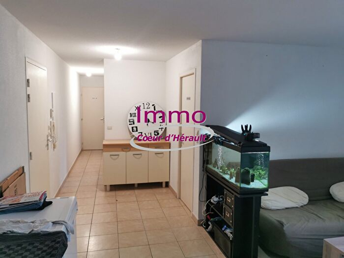 Appartement 3 pièces à louer - Saint-André-de-Sangonis