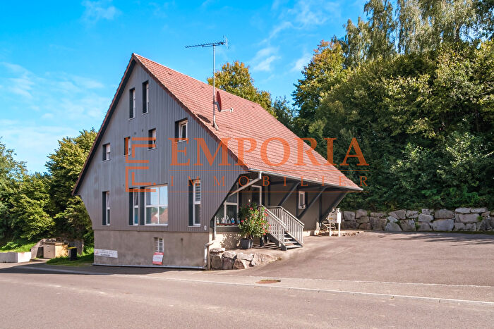 Maison à vendre - Seppois-le-Haut - 11 pièces - 7 chambres