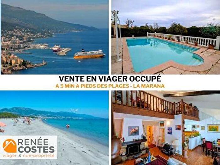 Maison à vendre - Borgo - 5 pièces - 4 chambres