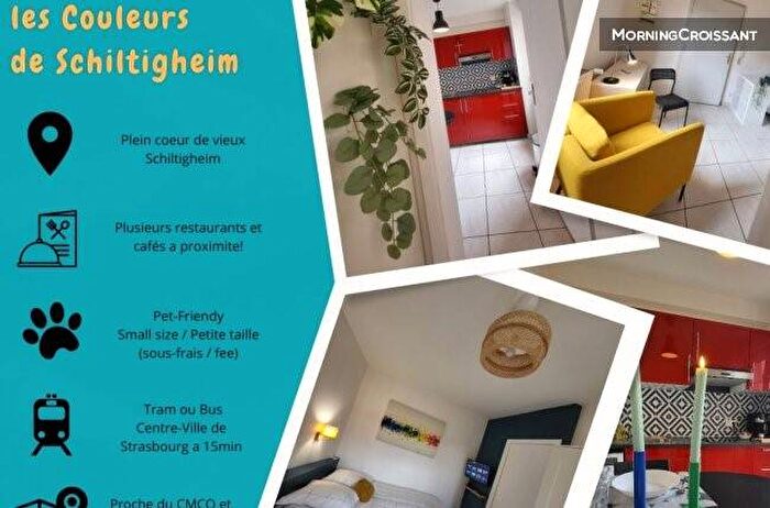Appartement à louer - Écrivain-Schilick Ouest, Schiltigheim - 1 pièce