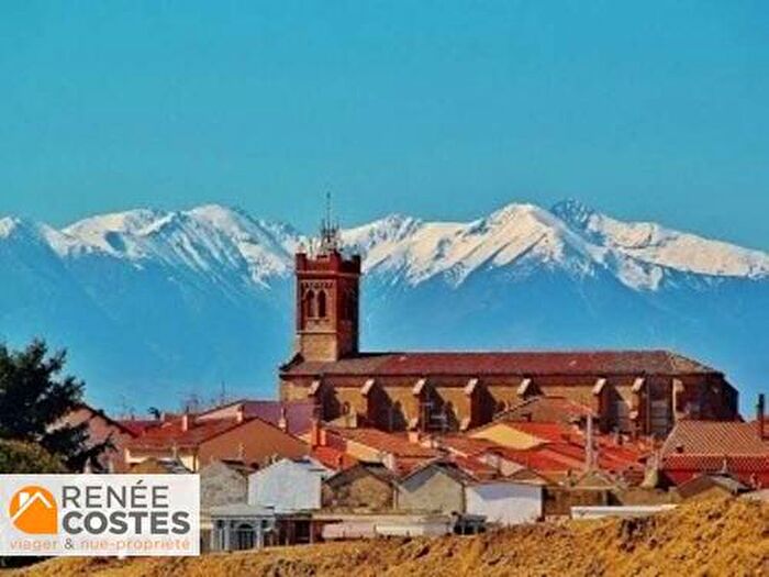 Maison à vendre - Canet-en-Roussillon, Route de Saint-Nazaire, Les Fontaines, Etang - 4 pièces - 3 chambres