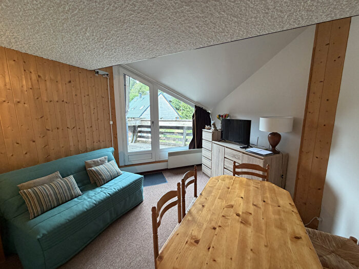 Laveissière : Appartement 1 pièce à vendre