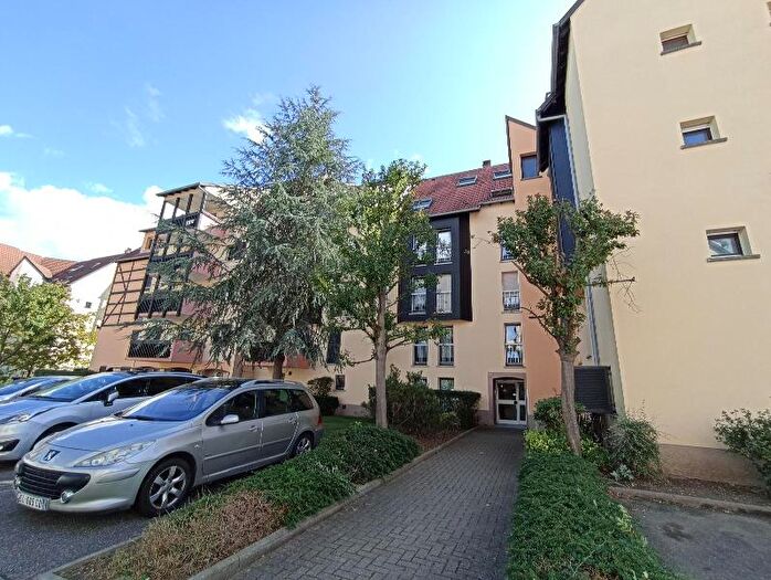 Appartement à louer - Lingolsheim, Tiergaertel, Européen, Alouettes, Galilée, Tanneries - 3 pièces - 2 chambres