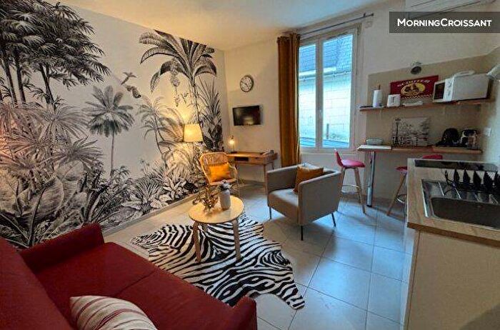 Appartement 1 pièce à louer - Centre, Tours