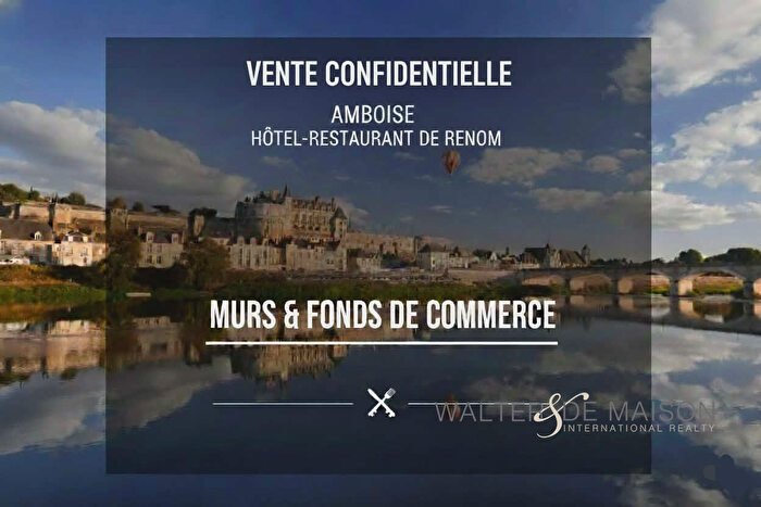 Amboise, Bout-des-Ponts, Entrepont, Gare - Maison 20 pièces à vendre