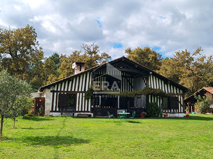 Maison à vendre - Luxey - 8 pièces - 5 chambres