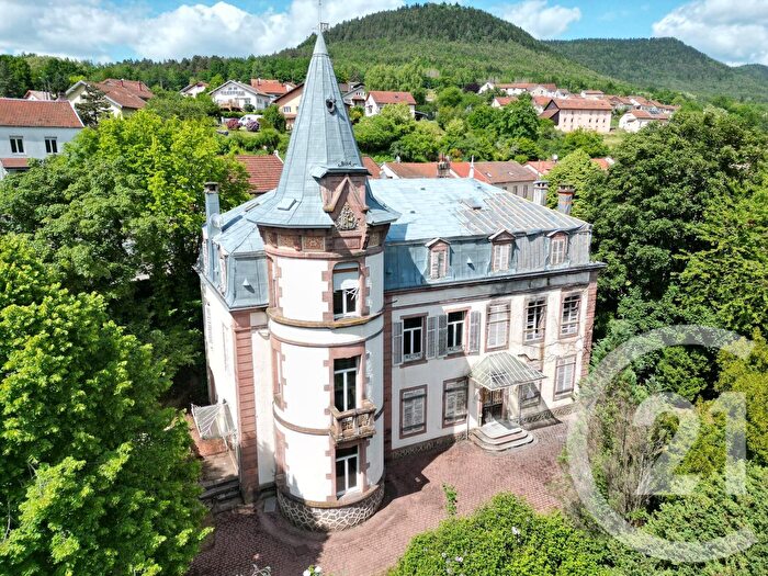 Maison à vendre - Moyenmoutier - 19 pièces - 12 chambres