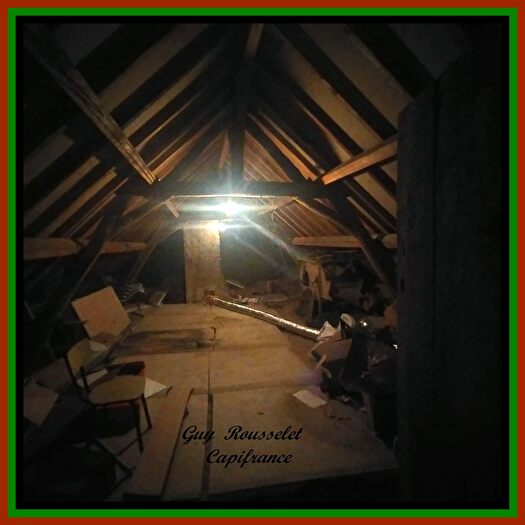 Maison à vendre - Vic-de-Chassenay - 4 pièces - 2 chambres