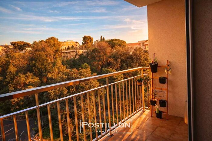 Appartement à louer - Cimiez, Nice - 3 pièces - 2 chambres