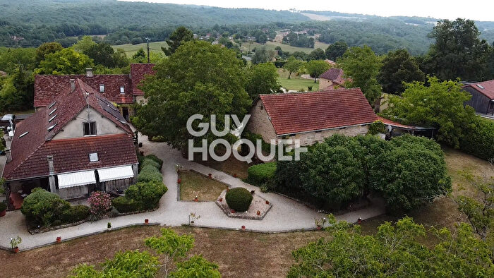 Maison à vendre - Nadaillac-de-Rouge - 6 pièces - 20 chambres