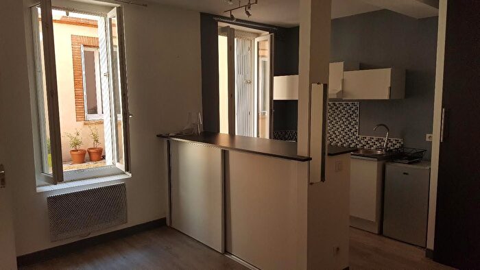 Appartement 1 pièce à louer - Toulouse, Purpan