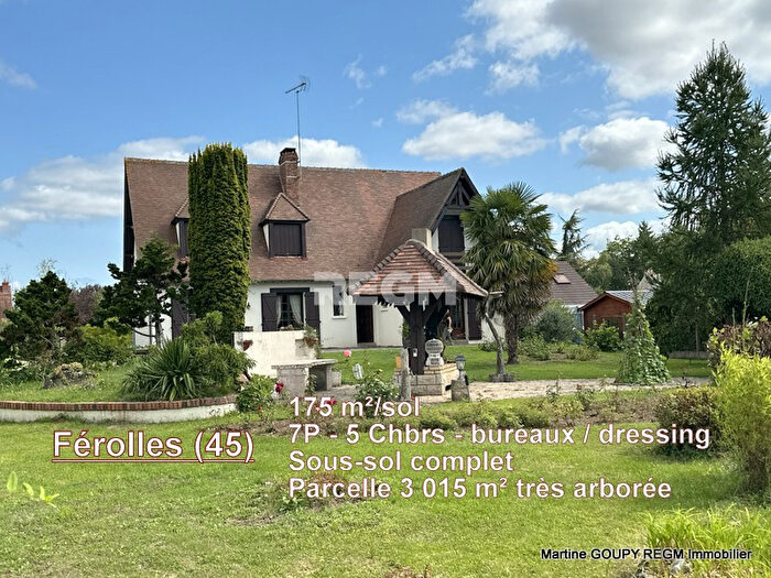 Maison à vendre - Férolles - 7 pièces - 5 chambres