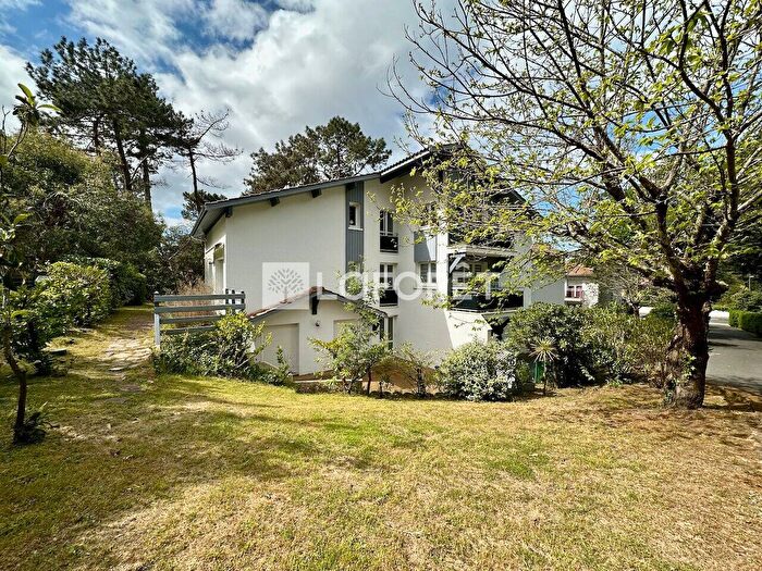 Appartement à louer - Pyla-sur-Mer, La Teste-de-Buch - 3 pièces - 1 chambre