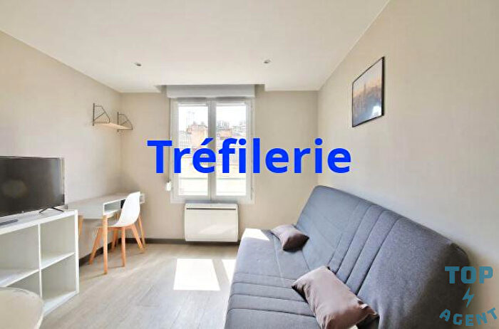 Saint-Étienne, Tardy, Colline des Pères, Bizillon : Appartement 1 pièce à louer
