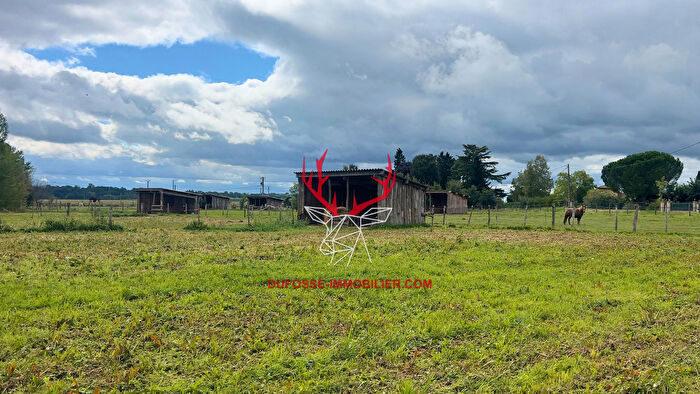 Maison à vendre - Gaillac - 4 pièces - 2 chambres