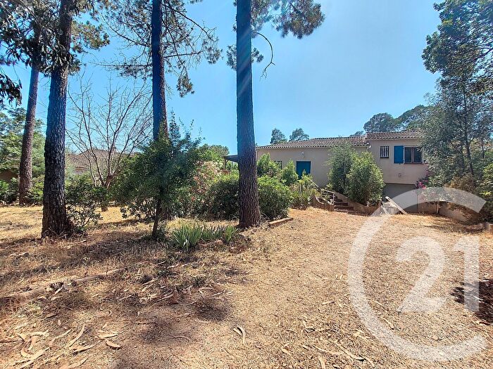 Maison à vendre - Porto-Vecchio - 5 pièces - 3 chambres