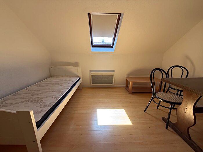 Saint-Dié-des-Vosges, Stanislas - Appartement 1 pièce à louer