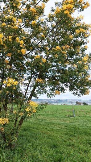 Maison à louer - Saint-Dolay - 5 pièces - 4 chambres