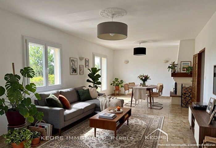 Appartement 3 pièces à louer - Vendargues