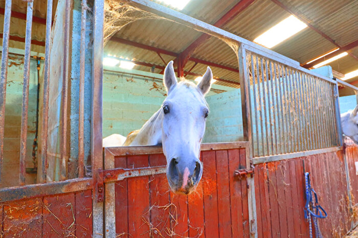 Maison à vendre - Saint-Martin-sur-Ouanne - 4 pièces - 4 chambres