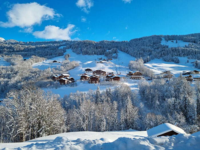 Appartement à vendre - Flumet - 3 pièces - 2 chambres