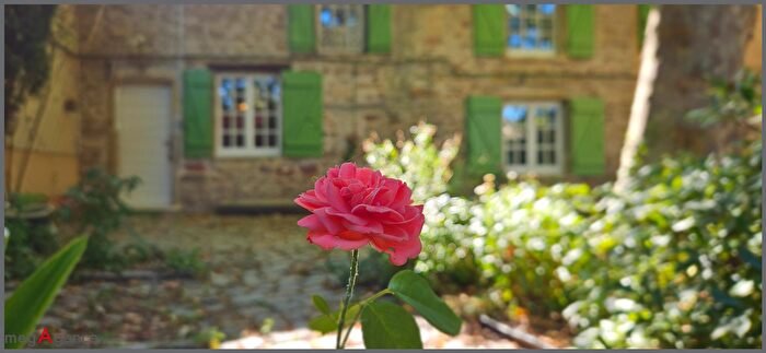 Maison à vendre - Dommartin - 8 pièces - 6 chambres