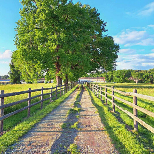 Maison à vendre - Reignac - 9 pièces - 8 chambres