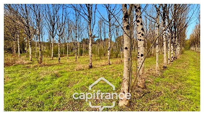 Maison à vendre - Monflanquin - 1 pièce