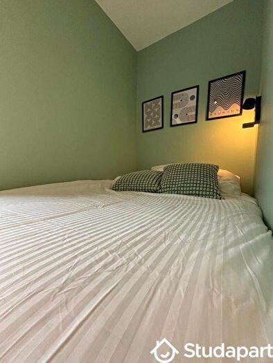 Appartement à louer - Gabrielle Leclerc, Charenton-le-Pont - 1 pièce - 1 chambre