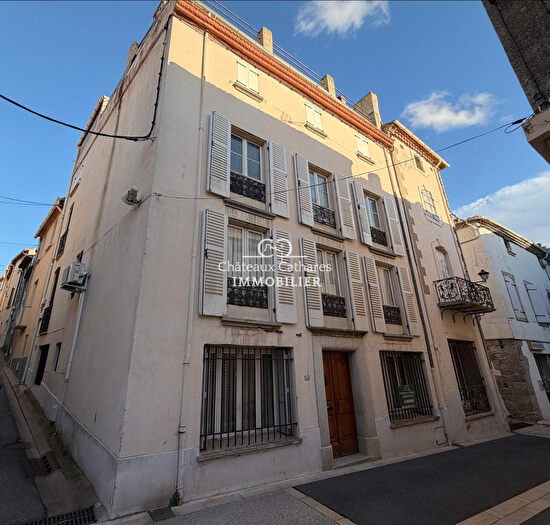 Maison à vendre - Saint-Paul-de-Fenouillet - 10 pièces - 8 chambres