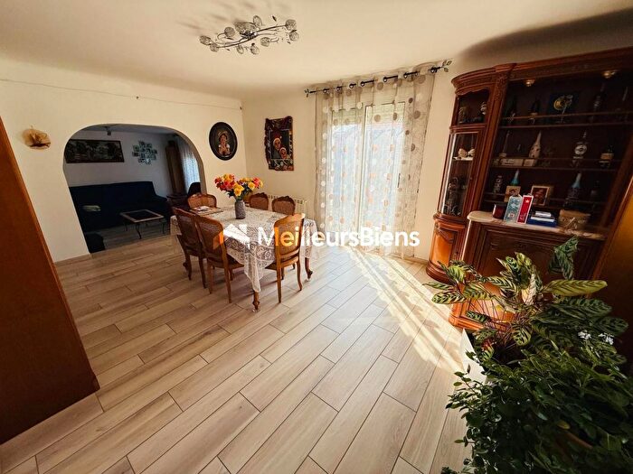 Maison à vendre - Villeneuve-la-Rivière - 7 pièces - 4 chambres