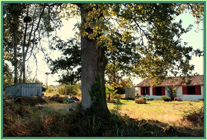 Maison à vendre - Belin-Béliet - 3 pièces - 2 chambres