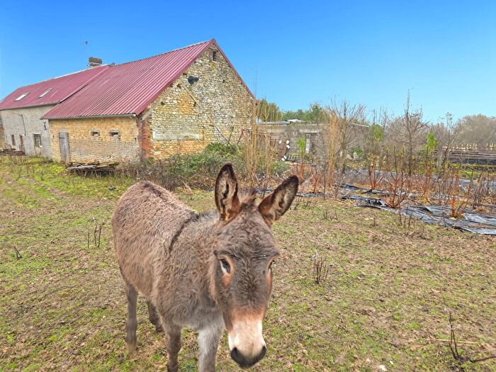 Maison à vendre - Sainte-Scolasse-sur-Sarthe - 7 pièces - 4 chambres