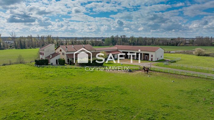 Maison à vendre - Montauban, Pays-Bas - 15 pièces - 10 chambres