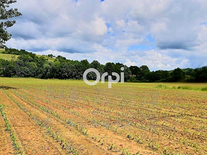 Maison à vendre - Oloron-Sainte-Marie - 7 pièces - 5 chambres