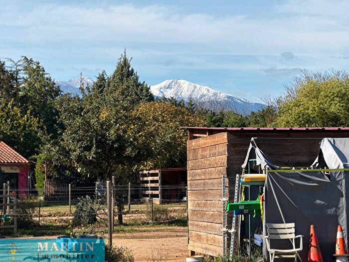 Maison à vendre - Saint-Jean-Pla-de-Corts - 6 pièces - 3 chambres