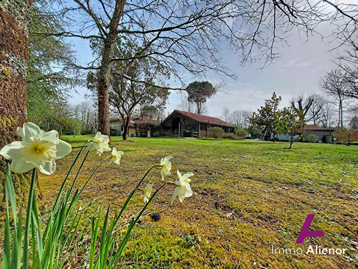 Maison à vendre - Magescq - 11 pièces - 4 chambres