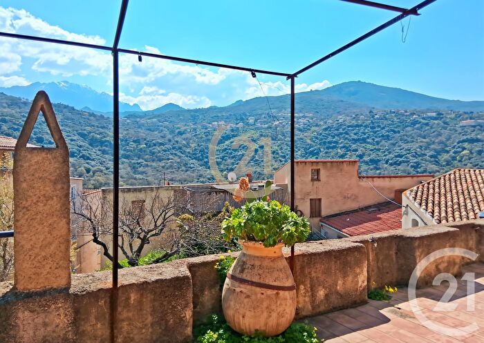 Maison à vendre - Aregno - 7 pièces - 3 chambres