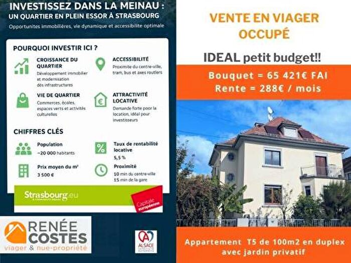 Strasbourg, Meinau, Plaine des Bouchers, Hohwarth - Appartement 5 pièces à vendre