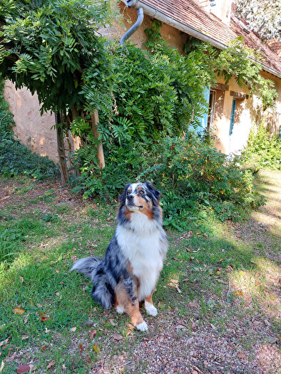 Maison à vendre - Le Mans - 4 pièces - 3 chambres
