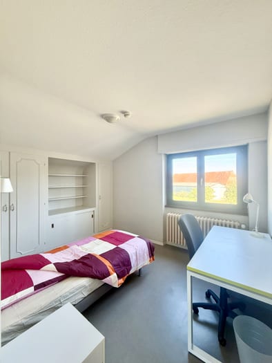 Mittelhausbergen : Appartement 1 pièce à louer