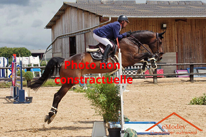 Maison à vendre - Molsheim - 10 pièces - 5 chambres