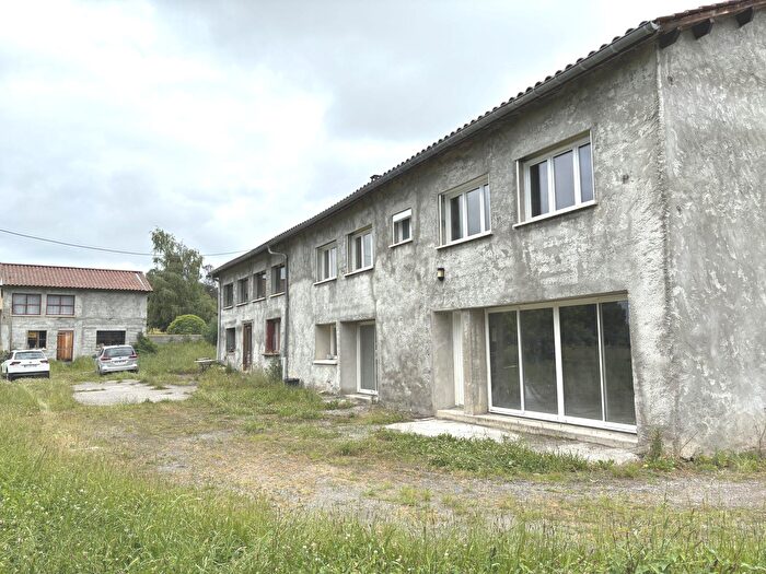 Maison à vendre - Villeneuve-de-Rivière - 9 pièces - 6 chambres