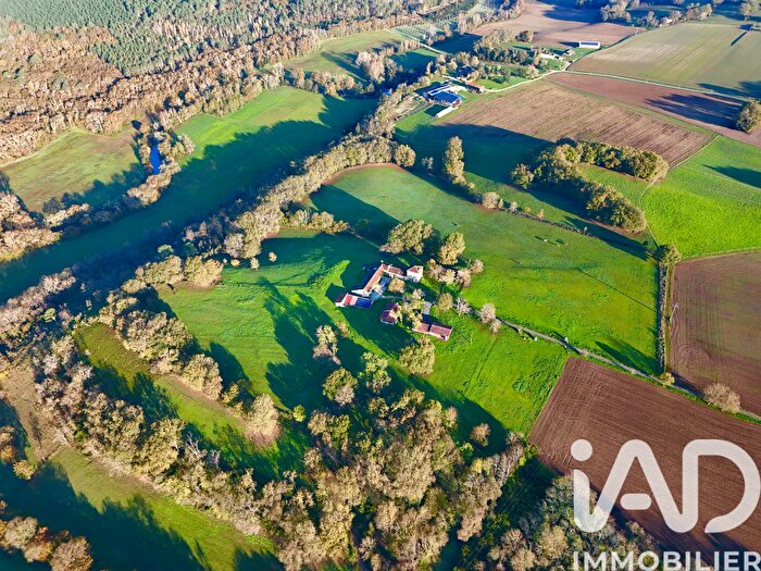 Maison à vendre - Nérac - 16 pièces - 9 chambres