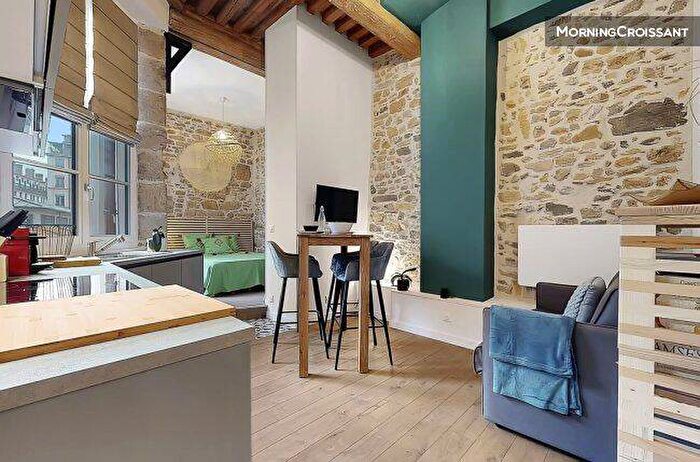 Appartement 1 pièce à Pentes de la croix-rousse, Lyon 1er arrondissement, à louer