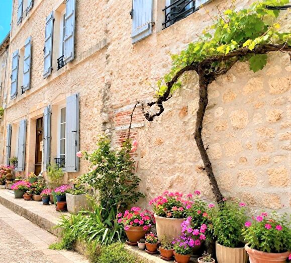 Tournon-dAgenais - Maison 9 pièces à vendre