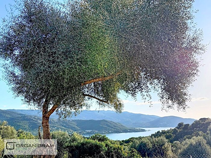 Maison à louer - Pietrosella - 4 pièces - 3 chambres