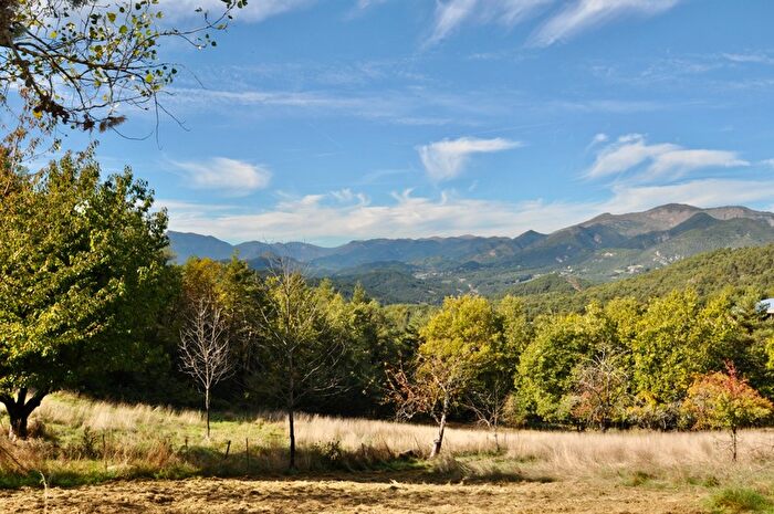 Maison à vendre - Ascros - 12 pièces - 8 chambres