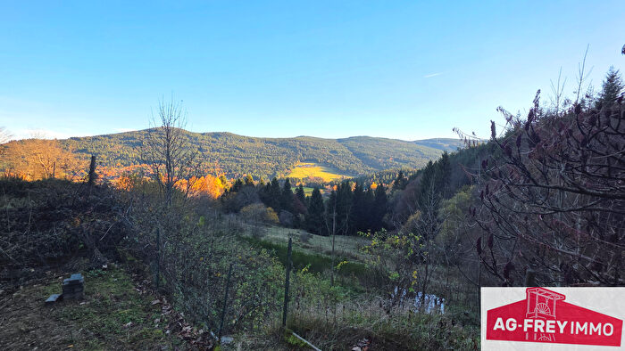 Maison à vendre - Le Bonhomme - 9 pièces - 5 chambres